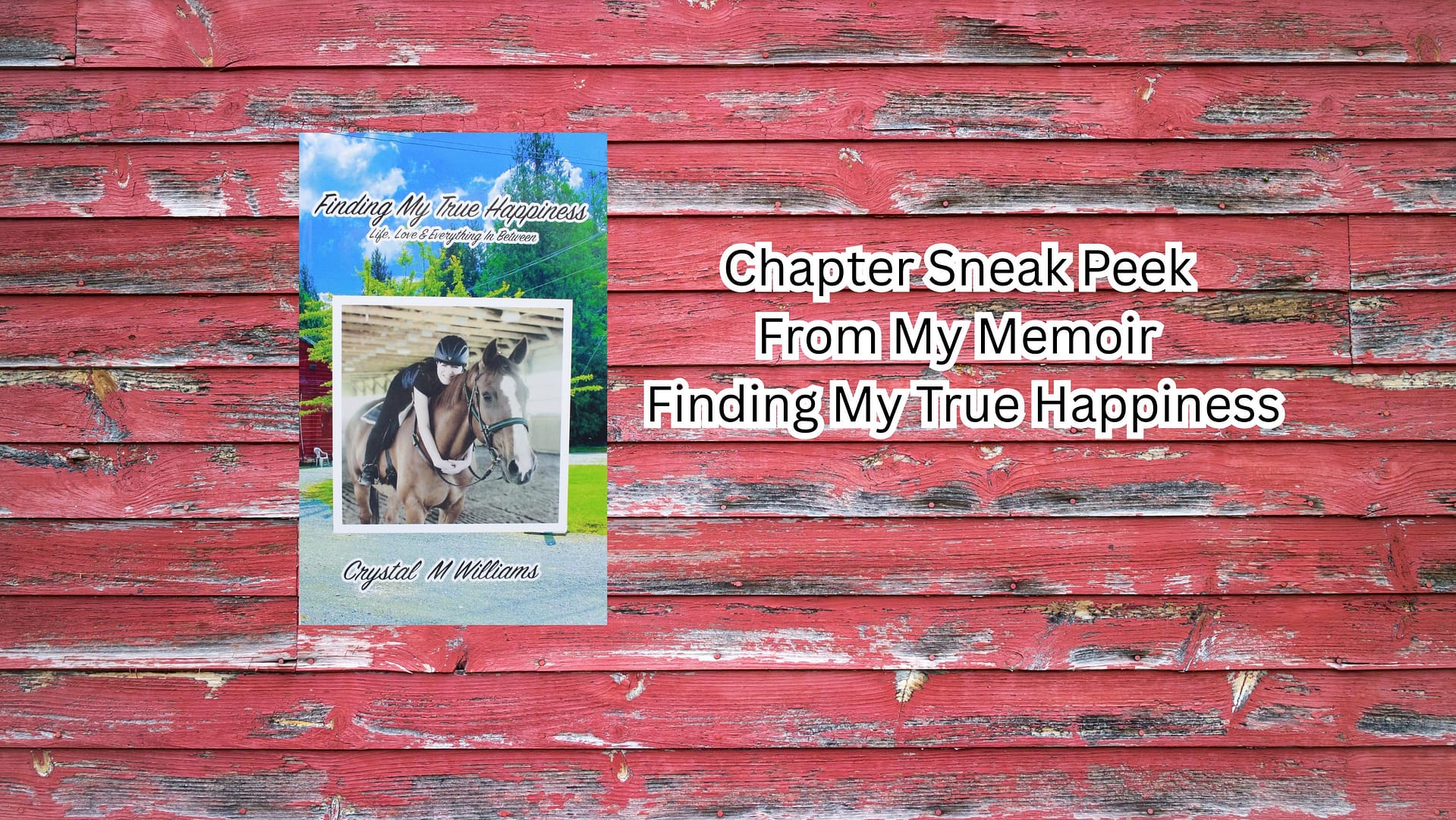Chapter Sneak Peek: Finding My Independence - Crystal M Williams